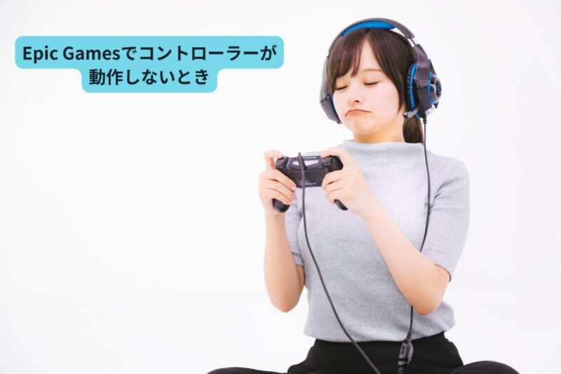 epic gamesでコントローラーが認識しない、反応しない時に見るべき場所- パトリブログ